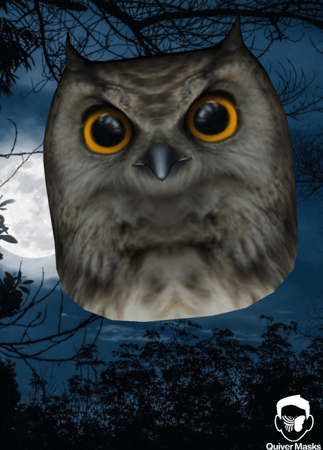 Quiver Masks App – AR Fun for Halloween – Transform Learning ~ written ...