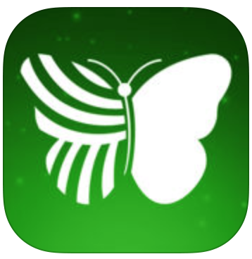 Quiver Masks App – AR Fun for Halloween – Transform Learning ~ written ...